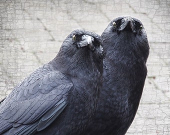 Unique raven painting related items | Etsy