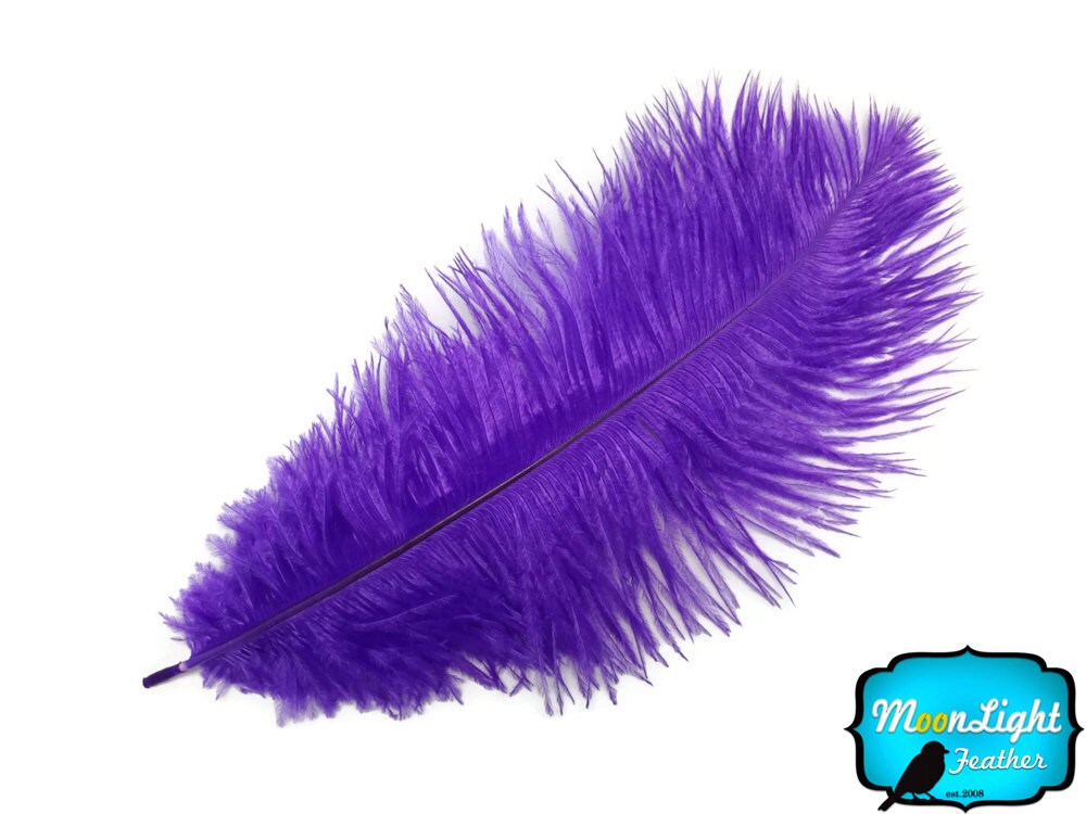 Ostrich Feathers 10 Pieces 8-10 PURPLE Ostrich Dyed