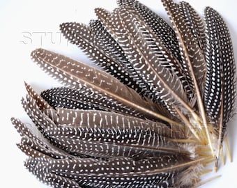 Guinea fowl feather | Etsy