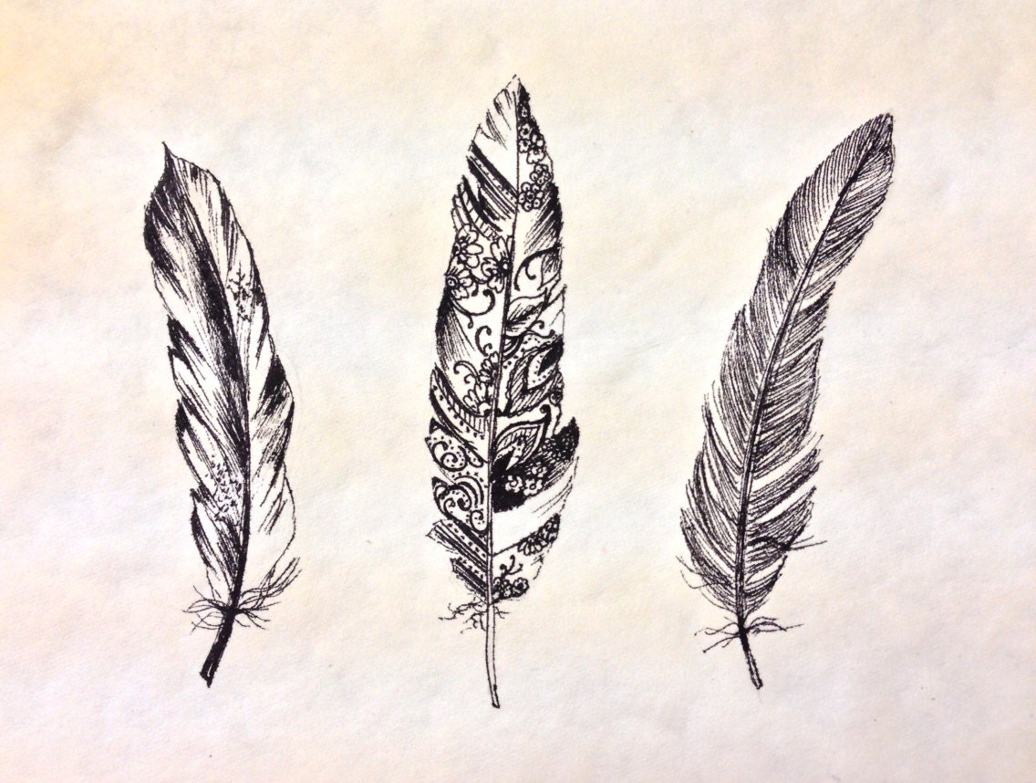 Feather drawing