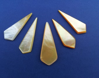 Gold lip shell | Etsy