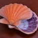 6 Pcs Color Handmade Puka Chip Coco Shell by DecorativeSeashells