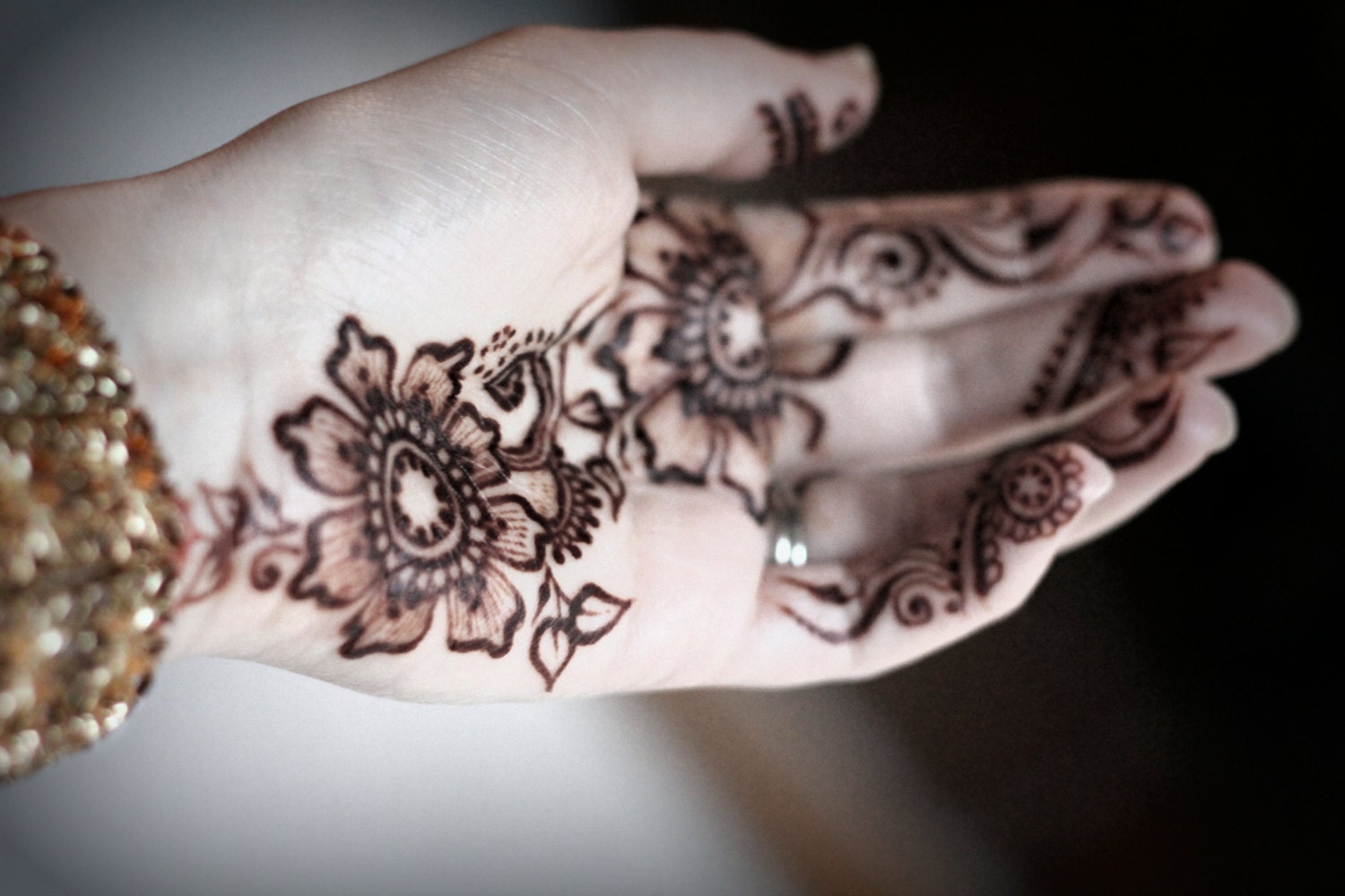 Complete Organic Henna Kit For Professionals and Beginners