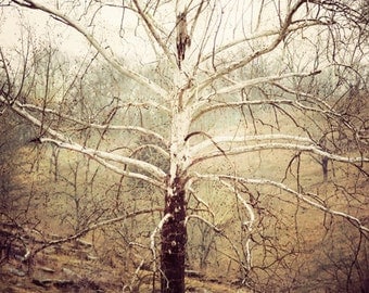 Bohemian tree art | Etsy