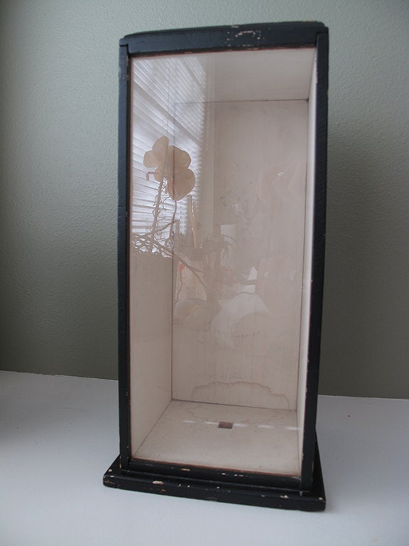 Doll Display Case