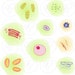 Plant Cell Science Diagram Clipart Set 300 dpi School
