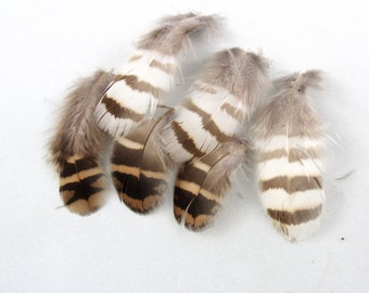 Grouse feather | Etsy