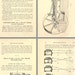 The STEAM ENGINE a Rare ILLUSTRATED Textbook on Steam