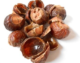 Natural House Cleaning Bundle w/ FREE Soap Nuts