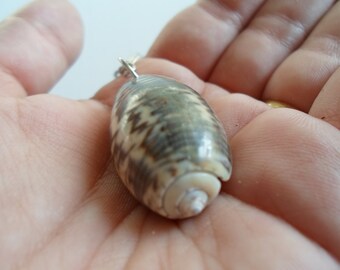 Sea shell keychain | Etsy