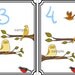 number wall cards bird theme preschool toddler pretty