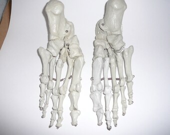Popular items for skeleton feet on Etsy