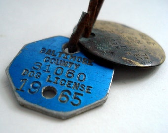 Rabies dog tags | Etsy