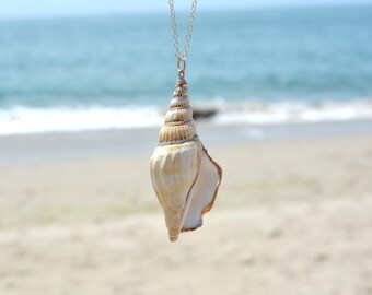 Gold dipped shell | Etsy