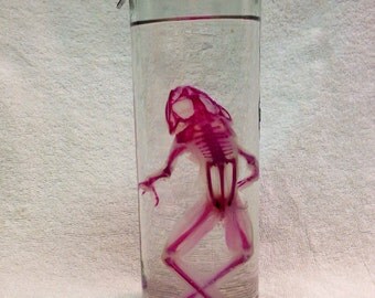 Popular items for diaphonized on Etsy