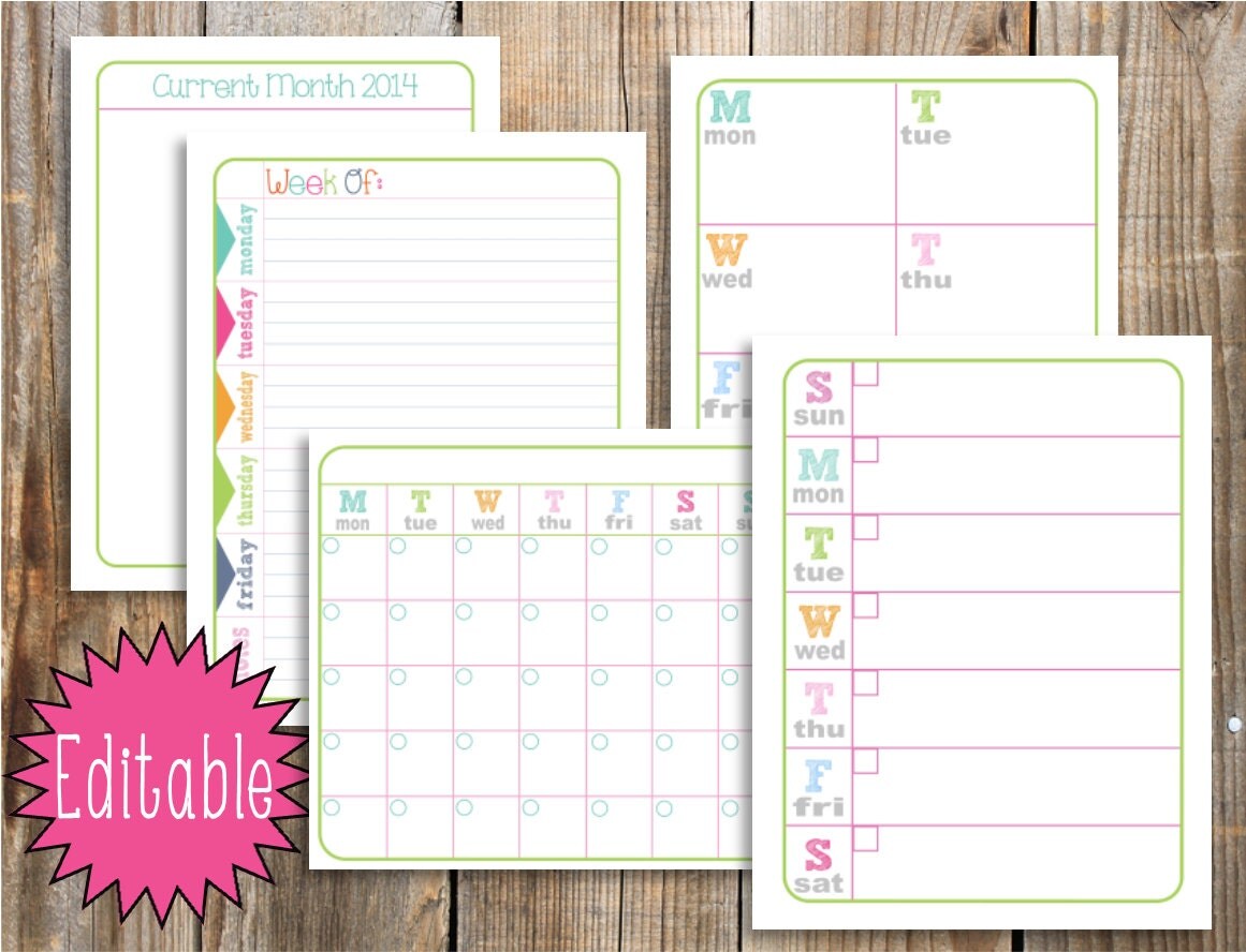 INSTANT Editable Planner Pages 8.5x11 Digital file