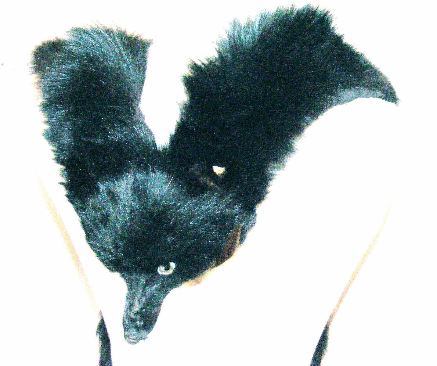 RARE FOX FUR Boa Stole ~ 7 foot silver fox ultra long extra large ...