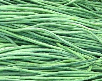 Long bean | Etsy