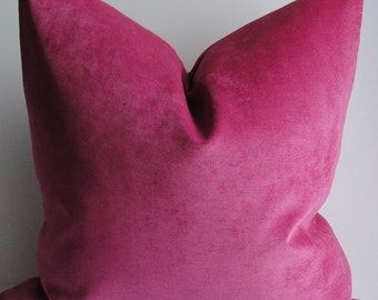Popular items for raspberry pillow on Etsy