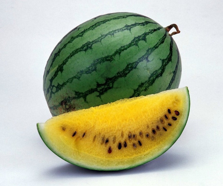 Organic 15 Seeds Heirloom Watermelon Yellow Fruit Seeds Super