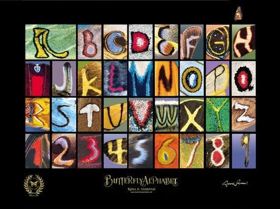 Items similar to Butterfly Alphabet Poster on Etsy