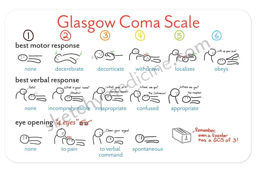 Glasgow Coma Scale Pocket Card