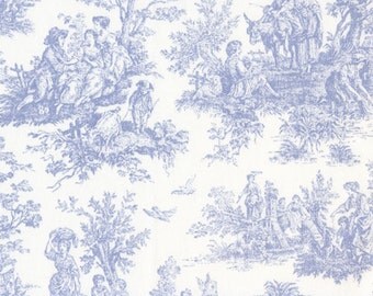 Baby Blue French Toile Fabric, French Country Home, Country Farmhouse ...