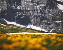 Popular items for swiss decor on Etsy