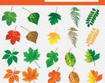 Popular items for fall leaves clipart on Etsy