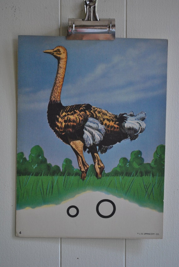 Items similar to vintage alphabet card - letter o - ostrich on Etsy