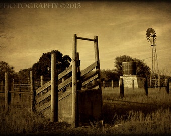 Chandeliers & Pendant Lights