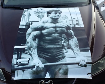 HUGE! 47x30apprx. PUMPING IRON Franco Columbo Arnold Schwarzenegger ...