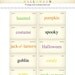 Digital Halloween vintage vocabulary flash cards / 3 by