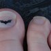 BATMAN Inspired Big TOE Nail Art Decals Symbol by TrinityNails
