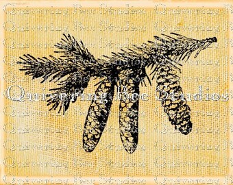 Pine cone stencil | Etsy