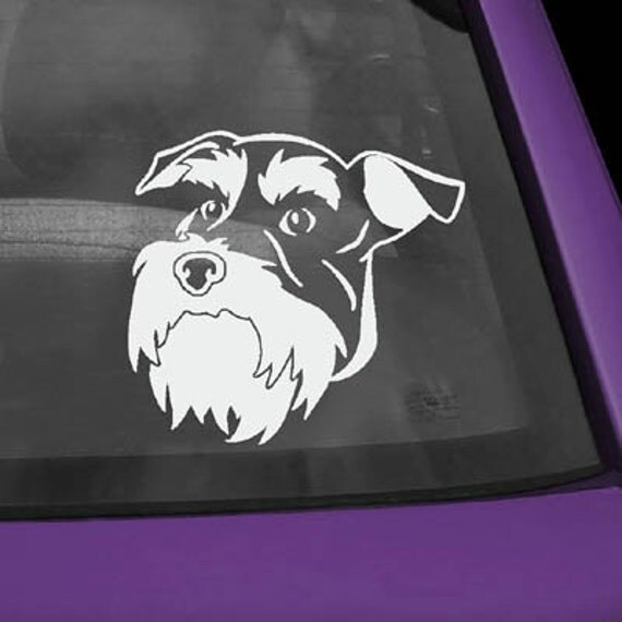 Schnauzer Head Decal