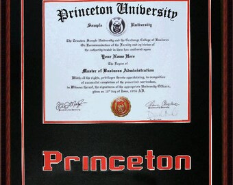 Popular items for princeton on Etsy