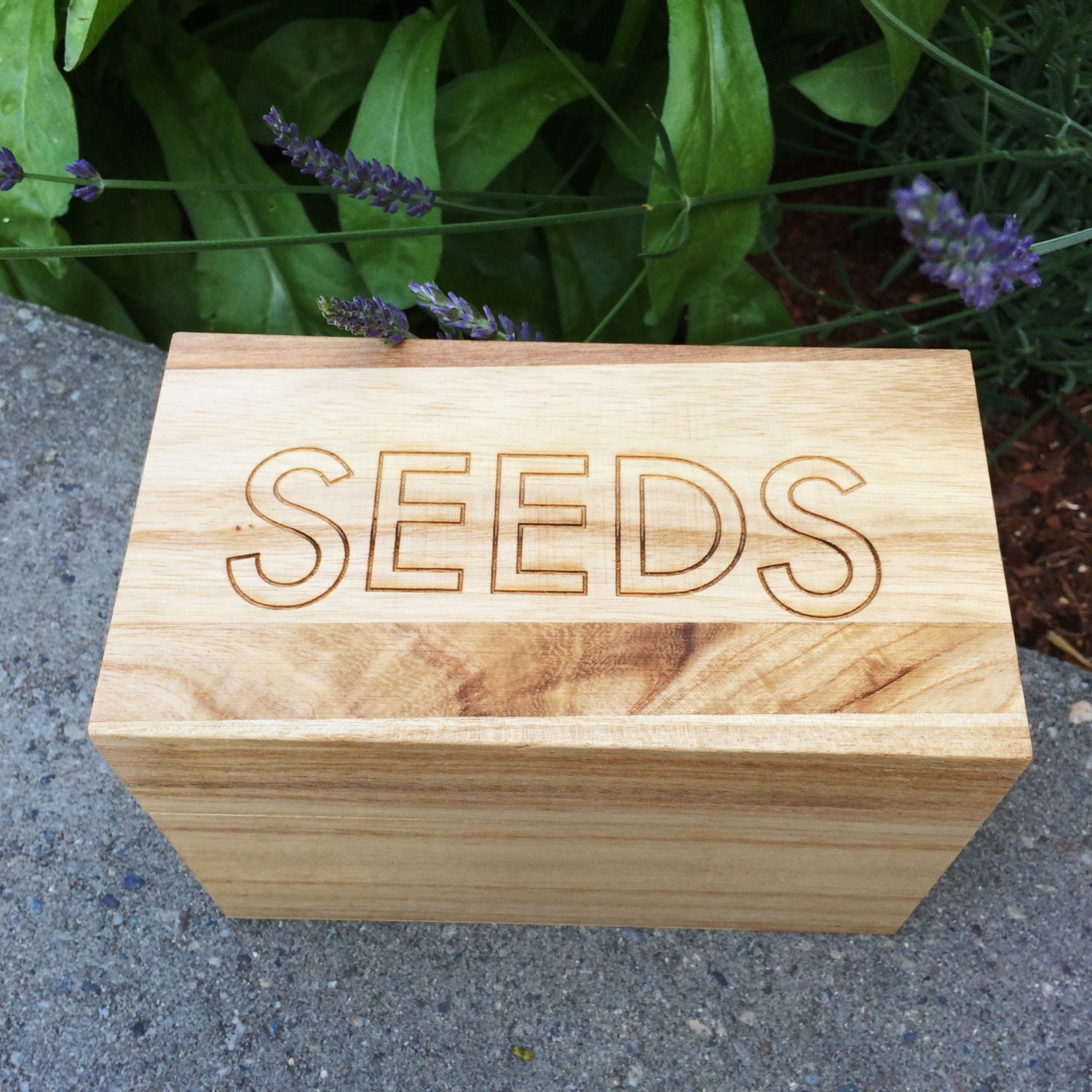 Garden Seed Storage Box by SeattleSeedCo on Etsy