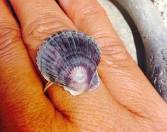 Popular items for real shell jewelry on Etsy