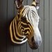 Faux Taxidermy Zebra Head Animal Friendly Decorative by BrokenHare