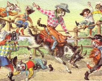 Popular items for cowgirl cat on Etsy