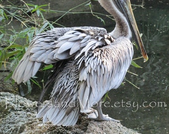 Bird Granny Square PATTERN PDF Crochet nest 2 by FlowersandMore