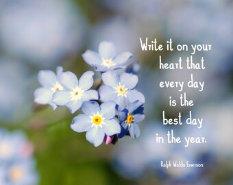 Forget me not art | Etsy