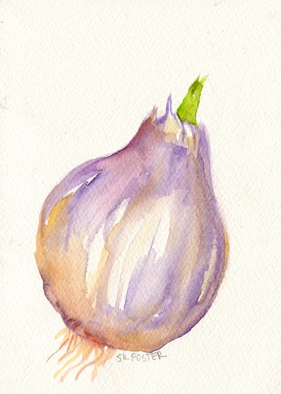 Purple Garlic watercolor painting original Big by SharonFosterArt
