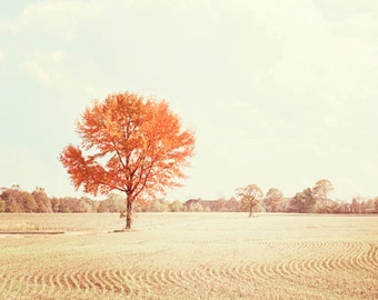 Neutral Wall Art beige nature photography by CarolynCochrane