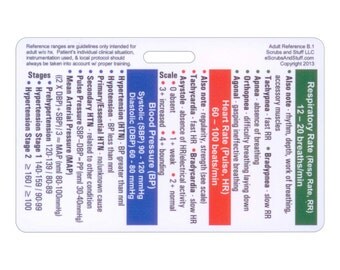 Chandeliers & Pendant Lights