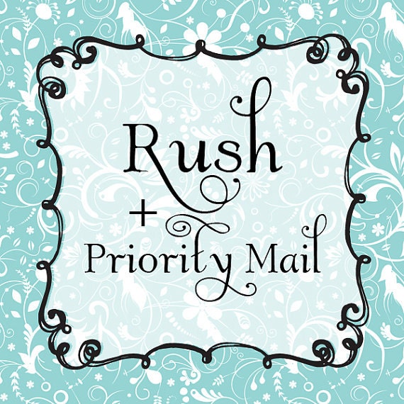 Rush + Priority Mail Upgrade for Domestic Orders Only | kennasklippiesbows