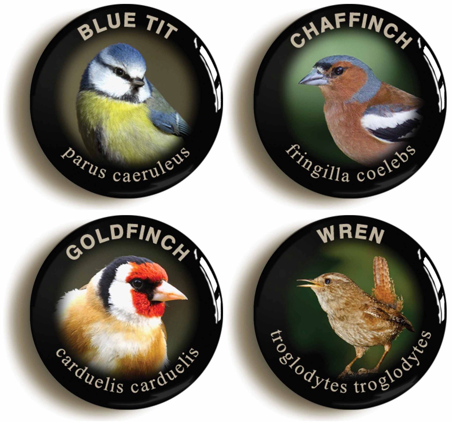 Set of four British garden birds badges buttons pins (1inch/25mm ...