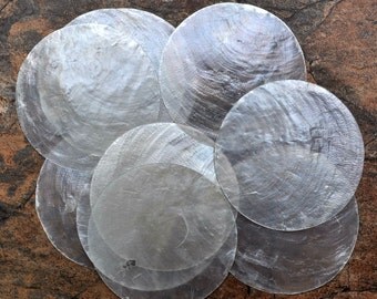 Round seashell | Etsy