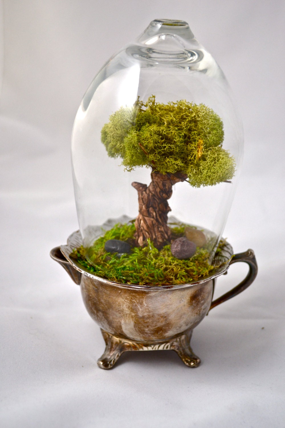 Tree terrarium beautiful real moss terrarium hand sculpted